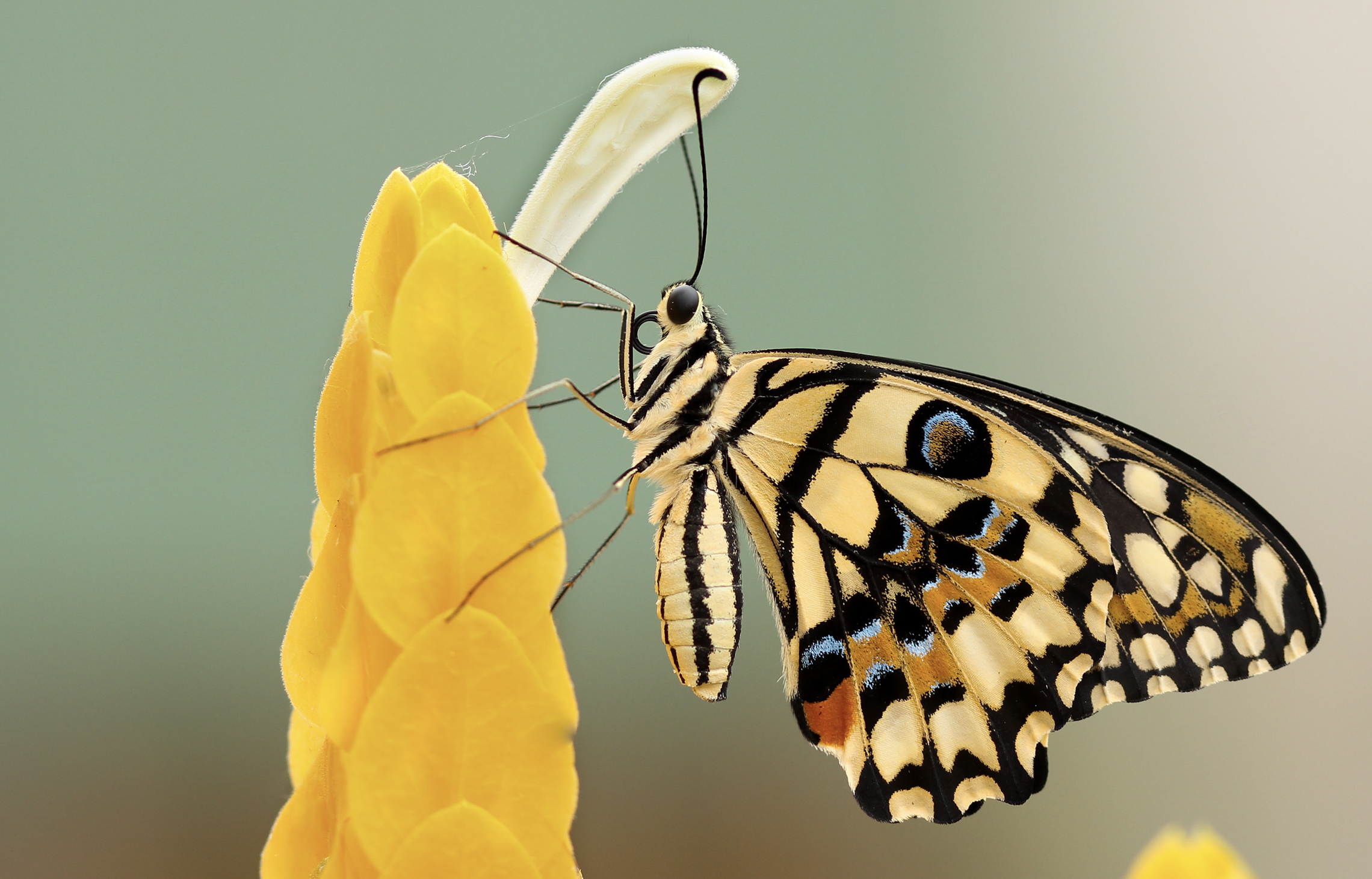 4 Ways Bold Vision Drives Donor Development | Advancement Resources 4 Ways Bold Vision Drives Donor Development | Advancement Resources