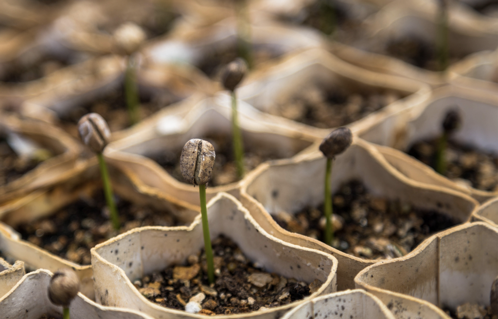 Leveraging Philanthropy to Seed Medical Science Research | Advancement ...